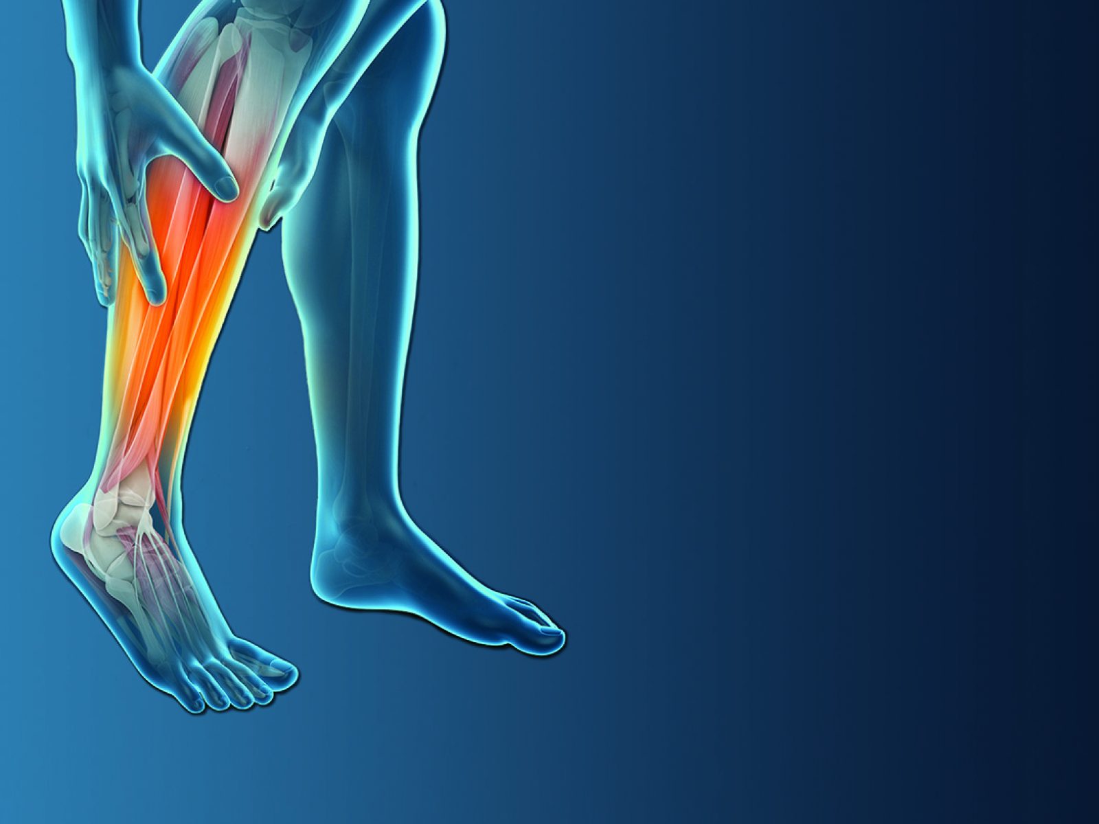 Get a “Leg Up” on Vascular Health at Deborah’s PAD Screening Event ...