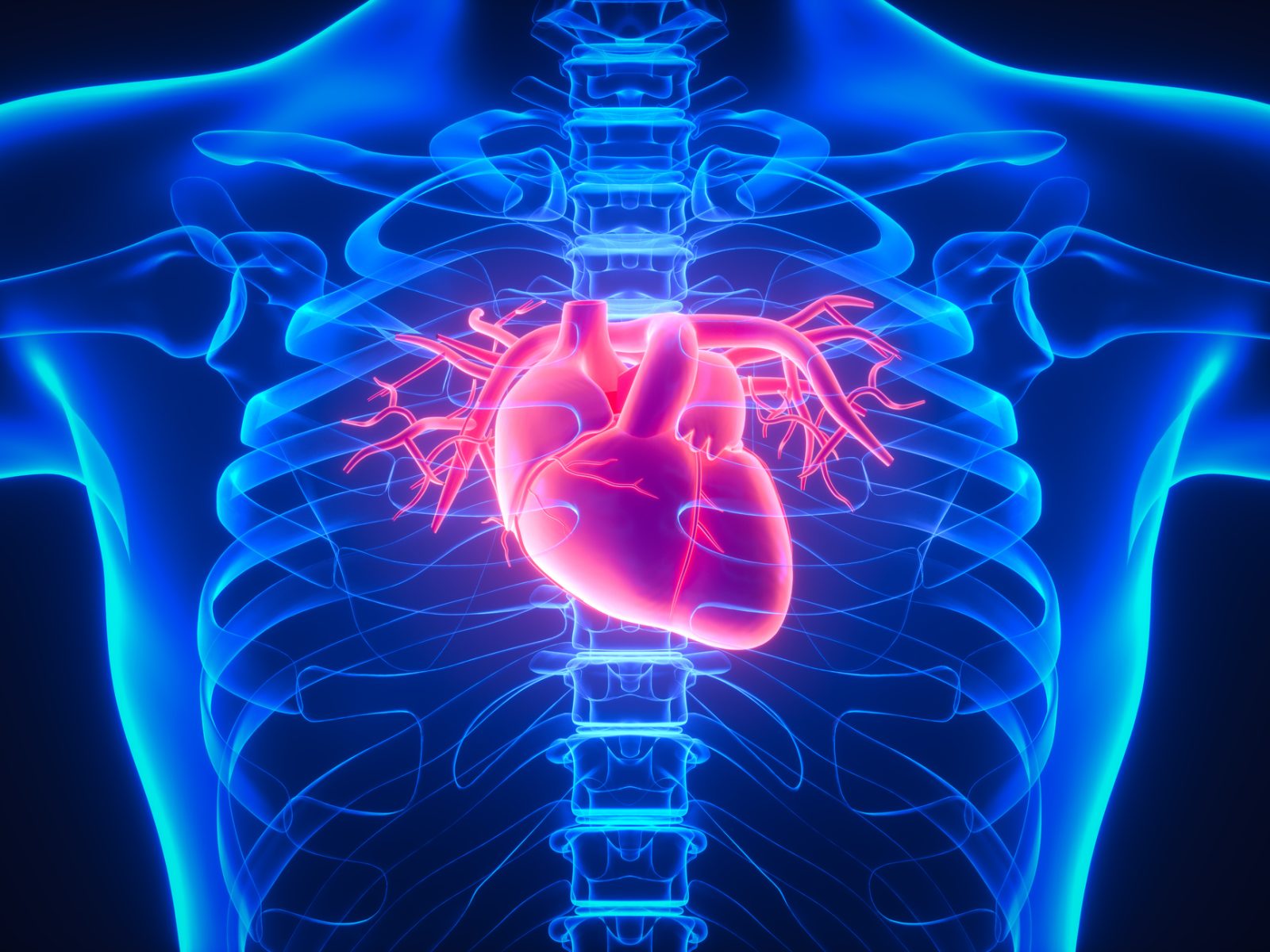 Deborah Heart and Lung Center Nationally Recognized for Commitment to ...