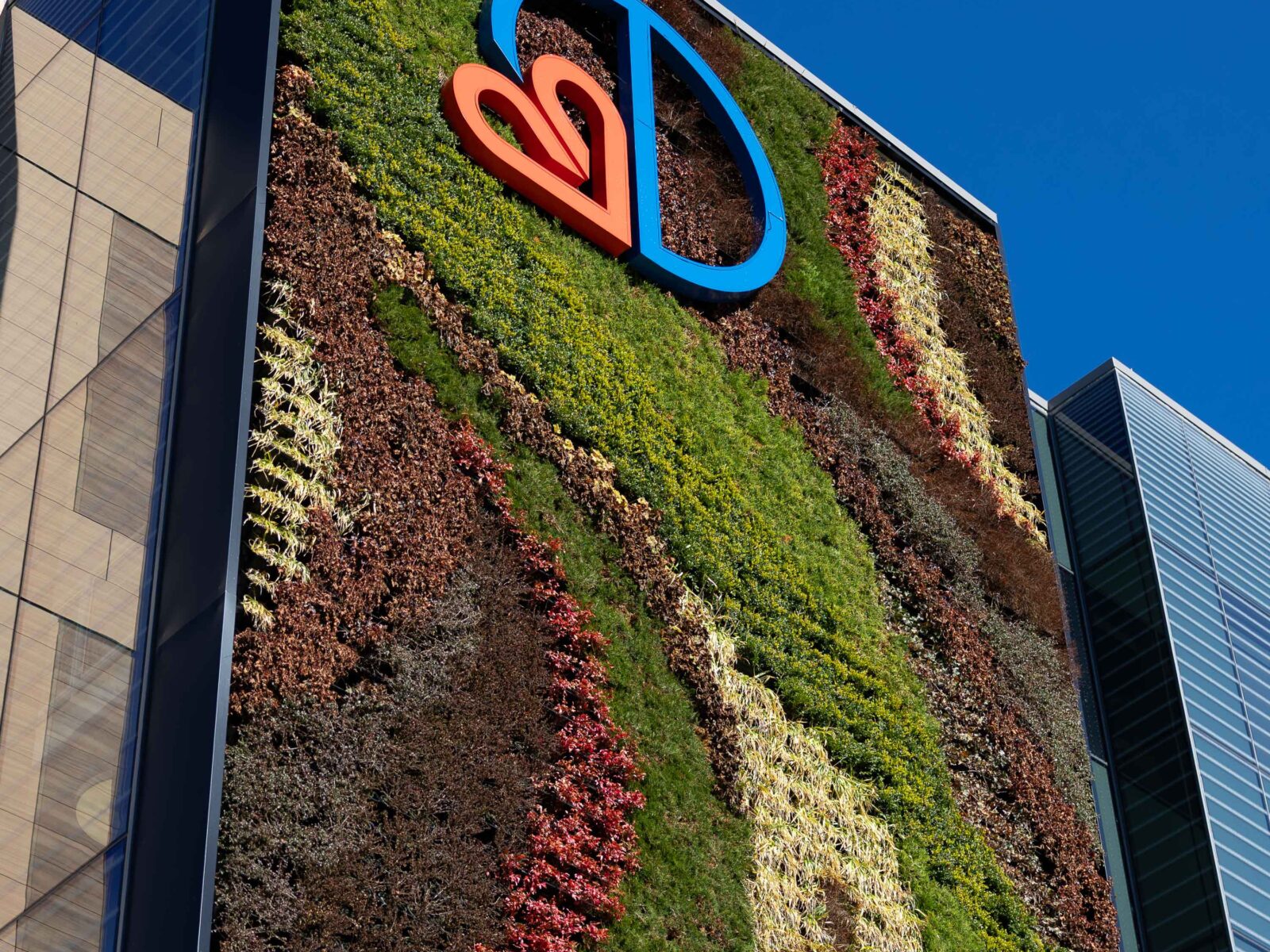Living Wall_014 – Deborah Foundation